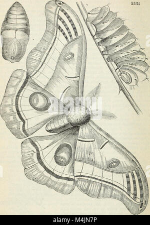 Comprehensive botanical text detailing plant structure, function ...