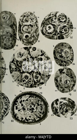 'Archives de Biologie' (1880) is a scientific journal focused on ...