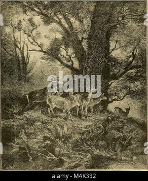 This 1888 work explores the significant artists and their contributions ...