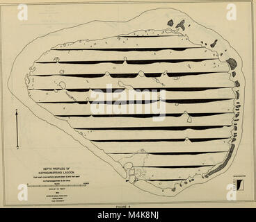 The 1956 *Atoll Research Bulletin* publishes research on coral reefs ...