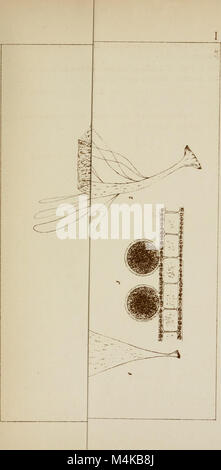 The 'Atti del Museo Civico di Storia Naturale di Trieste' (1884) is a ...