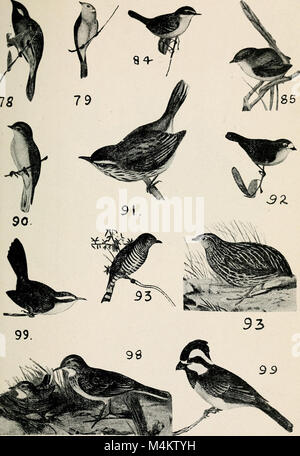 The 1922 publication, Australian Bird Maps, provides detailed maps and ...