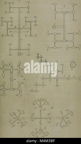 . Annals and magazine of natural history : including zoology, botany ...