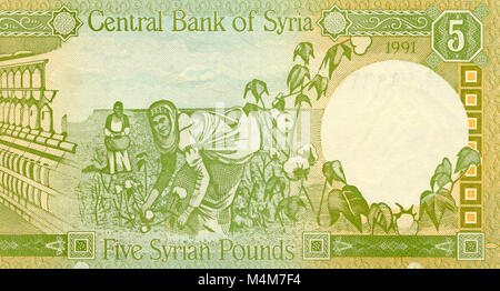 Syria 5 Five Pound Bank Note Stock Photo - Alamy