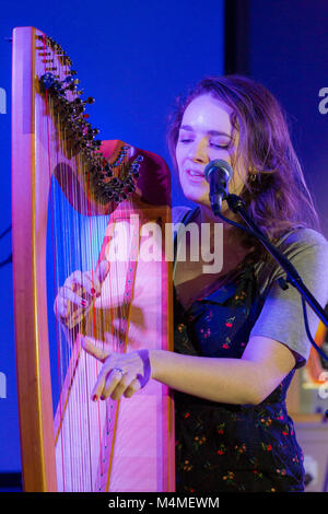 Young woman playing the clarsach Stock Photo - Alamy