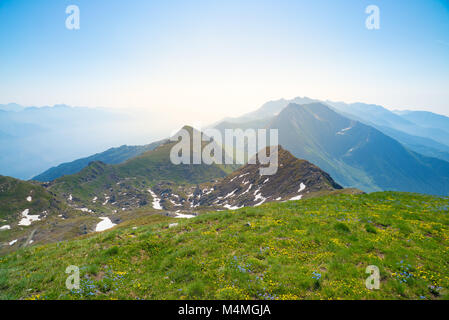 Expansive View from Mountain Peak Capturing Vast Forested Landscape ...