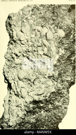 The Annals of the Carnegie Museum (1910-1911) is a scientific journal ...