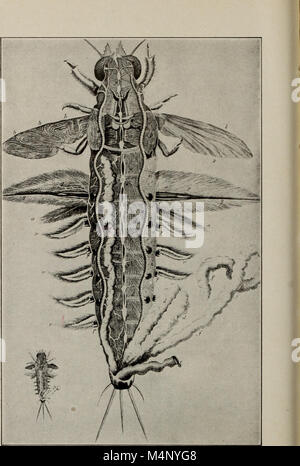 This botany text explores key ecological principles, including the ...