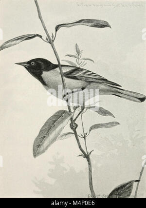 This comprehensive guide provides an overview of North American bird ...