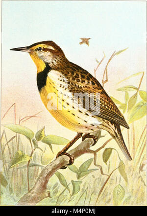 This comprehensive bird catalog covers North and Middle America ...