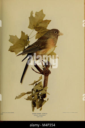 Published in 1903, *Animal Life and the World of Nature* was a magazine ...