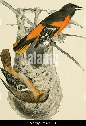 'Bird Lore' (1907) is a journal dedicated to the study and appreciation ...