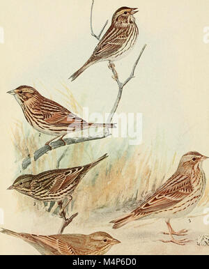 *Bird-Lore* (1911) covers the study of birds and their conservation ...