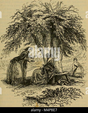 'Bleak House' (1895) by Charles Dickens is a classic novel that ...