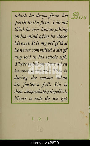 Bob, the Mockingbird (1902), tells the story of a mockingbird's life ...