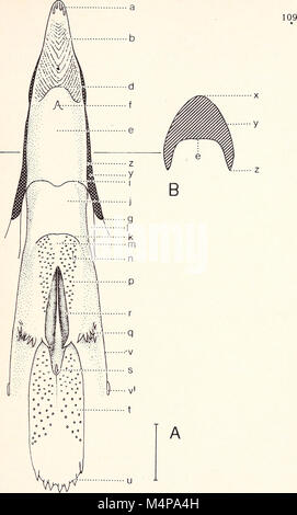 Bonner Zoologische Monographien, published in 1997, is a series of ...