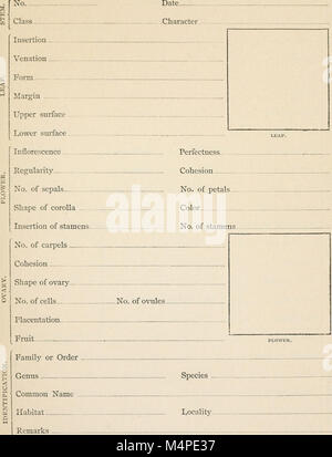 Botanical record book containing directions for laboratory work in ...