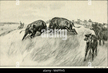 'Boy Life on the Prairie' (1899) by Hamlin Garland is a memoir that ...