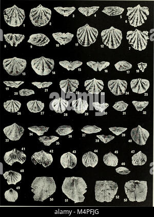 This geological work focuses on the Devonian period in Missouri ...
