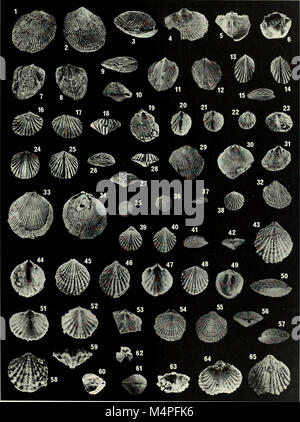 This geological study focuses on the Devonian period in Missouri ...