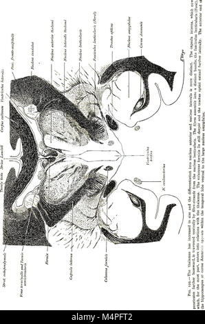 This 1912 manual focuses on the anatomy and structure of the brain and ...