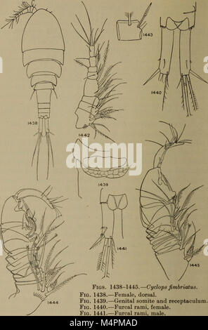 This study focuses on the freshwater copepod *Diaptomus conipedatus ...