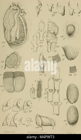This zoology journal provides scholarly articles on animal behavior ...