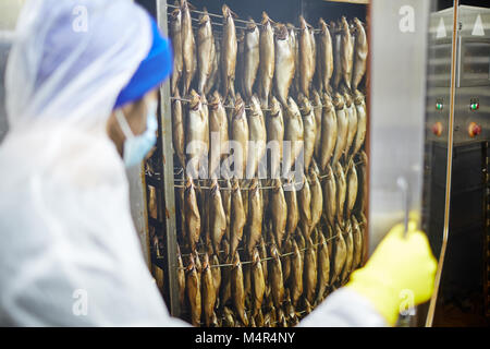Fish processing plant. Freshly smoked fish. Smoked flounder, Close Up ...