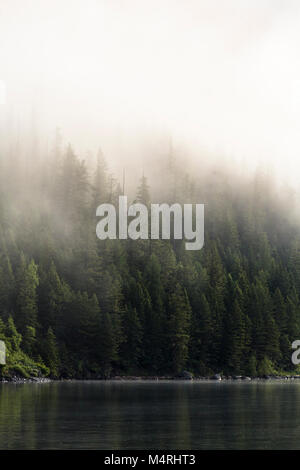 Morning Fog and Trees on Quartz lake Stock Photo - Alamy