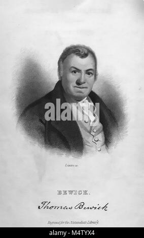 Wood engraving, Thomas Bewick, artist, England, wood engraving Stock ...