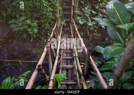 Wooden bridge leading to the park side view Stock Photo - Alamy