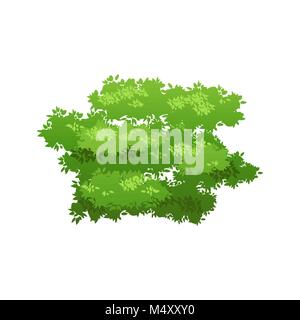 green bush icon Stock Vector Image & Art - Alamy
