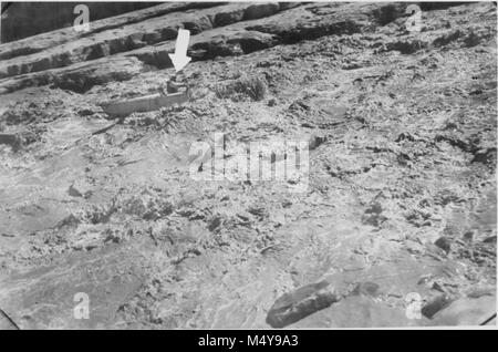 A COLORADO RIVER HAZARD, DECEMBER 1937. CHIEF BOATMAN DODGE, OF THE ...