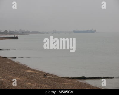 Sheerness, Kent, UK. 19th Feb, 2022. UK Weather: a tree fallen on ...