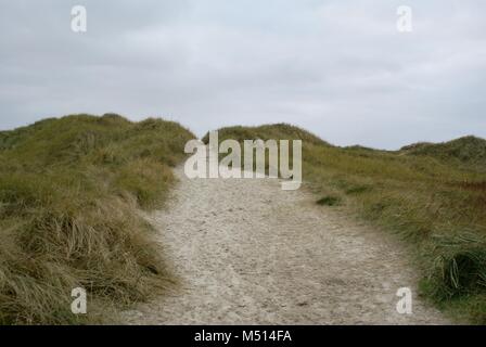 dune wadden sea and salt marshes in nordfriesland germany Stock Photo ...