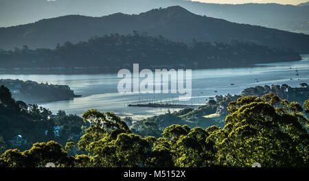 muir beach on pacific ocean coast in california Stock Photo - Alamy
