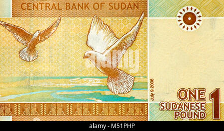 Money of Sudan. Sudanese pound bills. SDG banknotes. 100 pounds ...