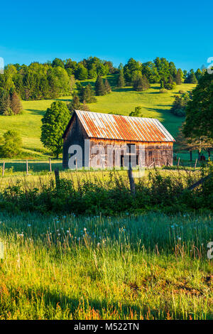 The barn in the field Stock Photo - Alamy
