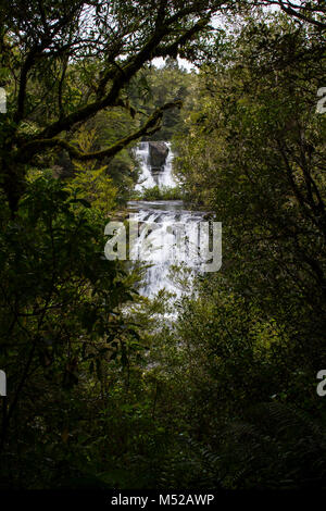 Aniwaniwa Falls hidden in forest Stock Photo - Alamy