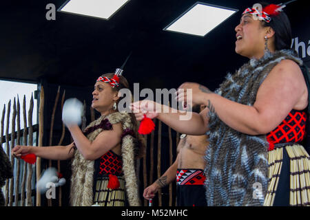 Maori indigenous warrior performing a traditional haka dance, Rotorua ...