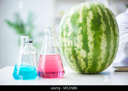 Scientist testing watermelon in lab Stock Photo - Alamy