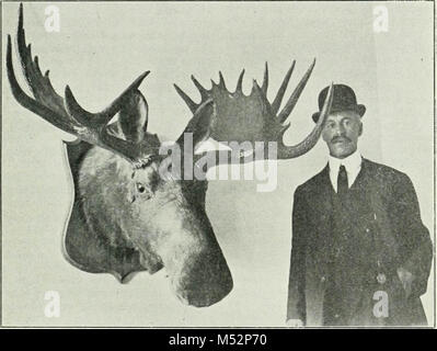 "Rod and gun" (1898 Stock Photo - Alamy