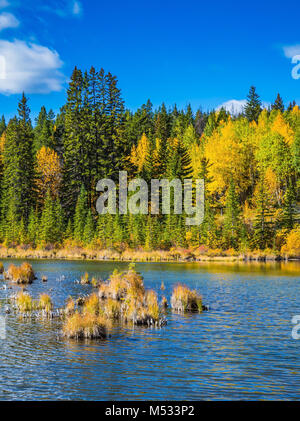 Lakes Vermilion in Banff. Concept of active tourism and ecotourism ...