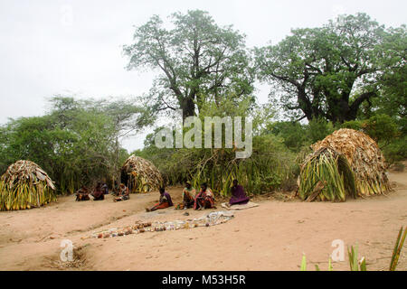 Hadzabe tribe house, Lake Eyasi area, Tanzania, Africa Stock Photo - Alamy