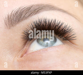 Female face with beautiful eyebrows and artificial eyelashes for ...