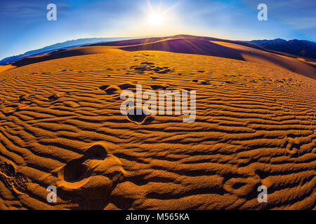 Early morning in a desert Stock Photo - Alamy