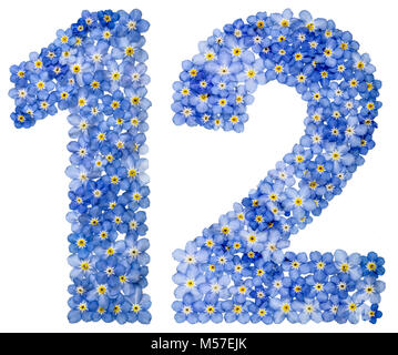 Numeral 12, twelve, from natural pink flowers of almond tree, isolated ...