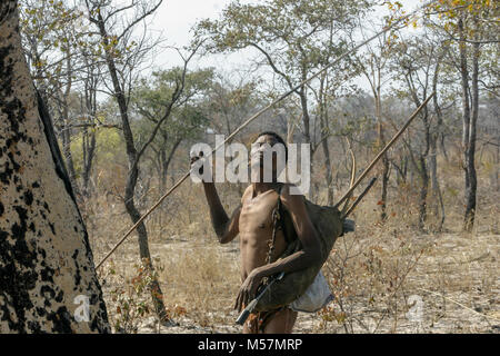 Bushmen of the San people hunting with a bow, Kalahari, Namibia, Africa ...