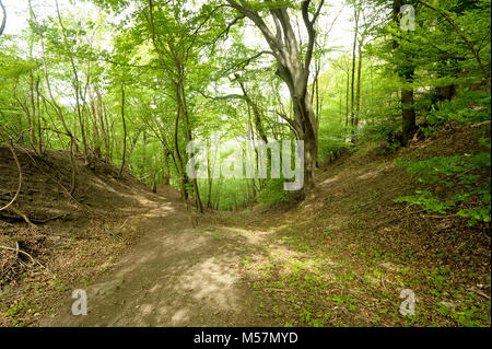 Remains of the middle part of ramp with funicular railway starting on ...