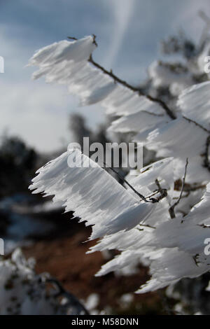 Fog Shots. A rare total inversion was seen today by visitors to Grand ...